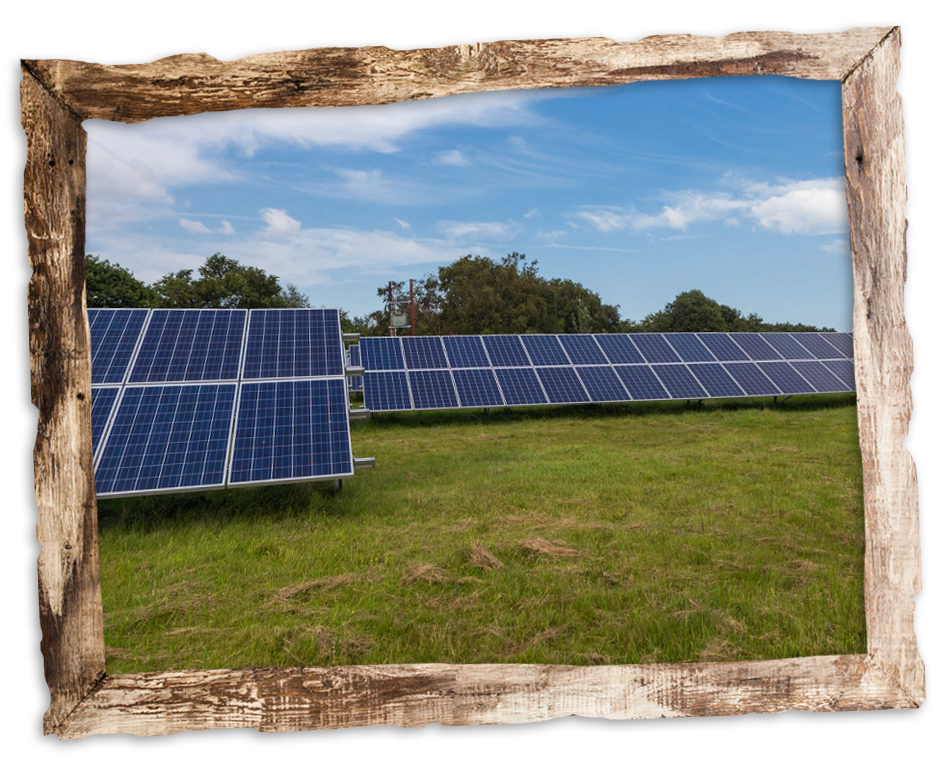 Going Green - Greenwood Family Park