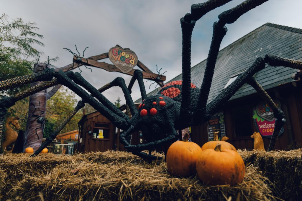 SpOoKWoOd - GreenWood Family Park