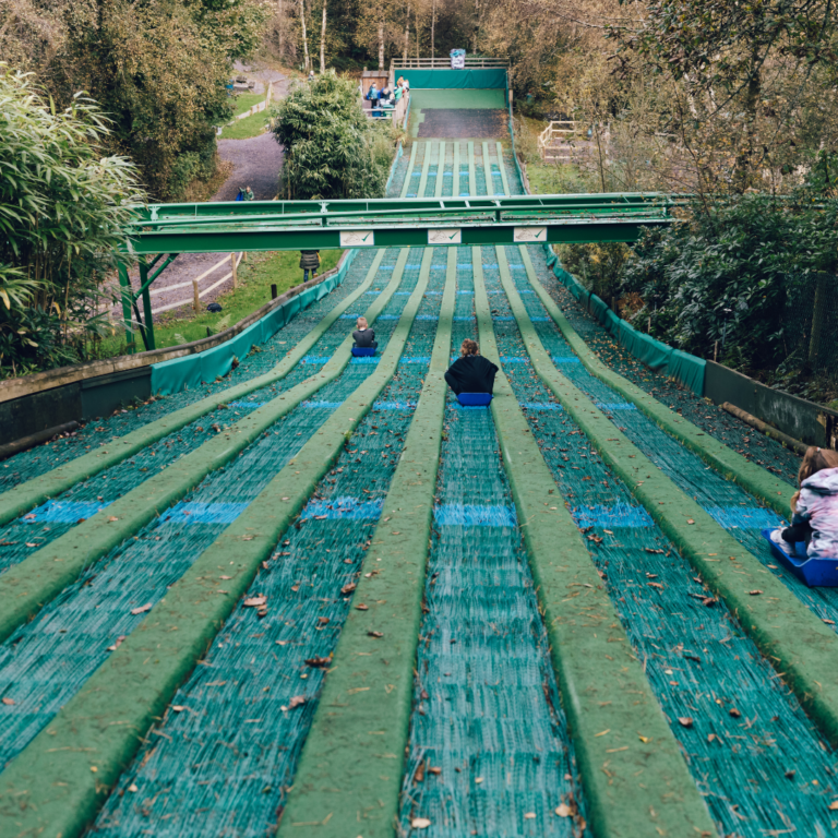 Family fun this February half term - GreenWood Family Park